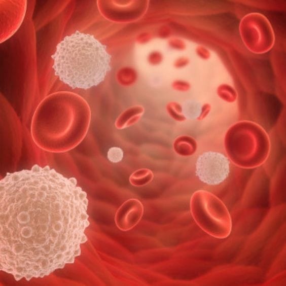 Understanding Blood Cancer: Types, Symptoms, and Treatment - Our Stories